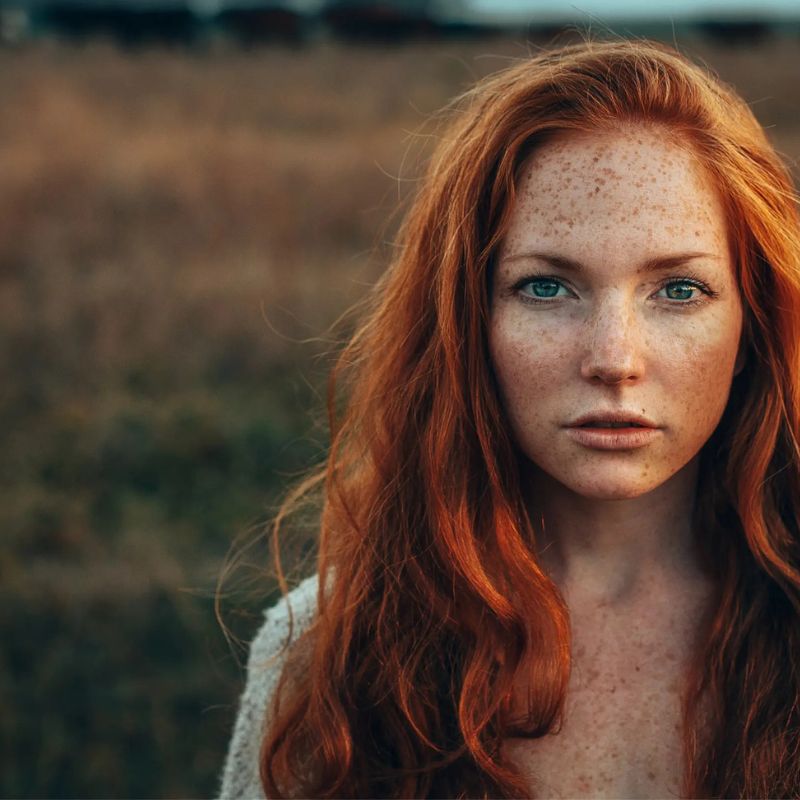 Alchemist + Co. | Home